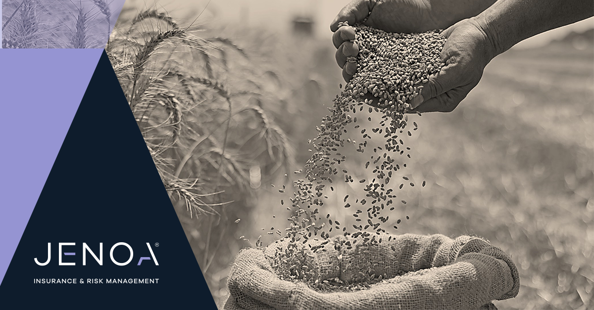 Agri-insurance & reinsurance in Morocco: are existing models fit for ...